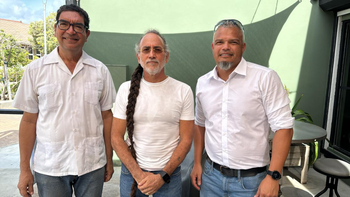 Ricardo Croes: Elecciones, partidos emergentes y propuestas - Noticia ...