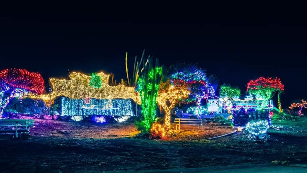 Jan Flemming encenderá sus luces este jueves 4 de diciembre